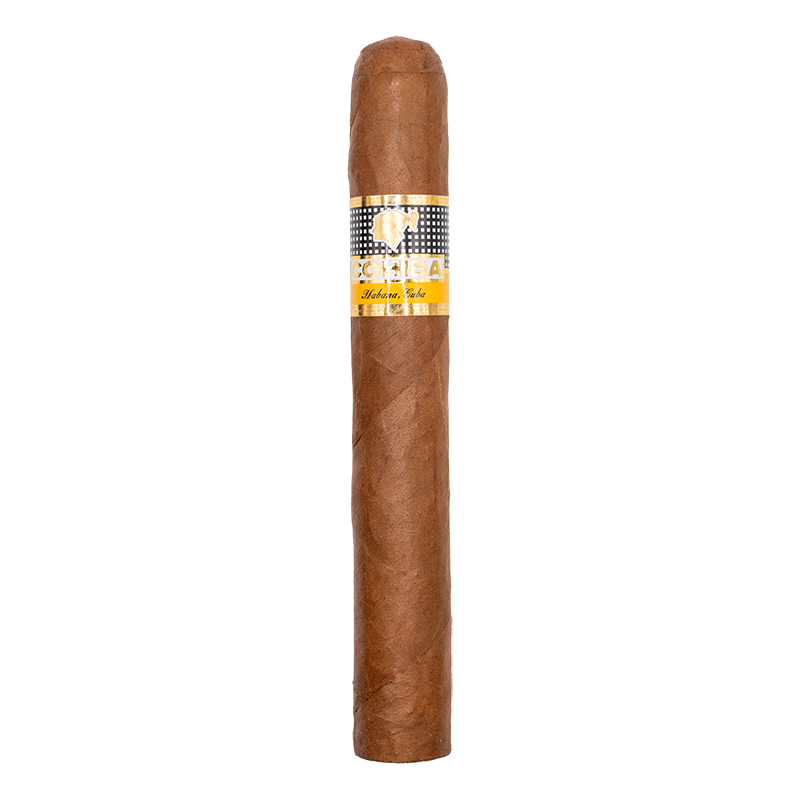 Cohiba Siglo 2 | Cigar Studio