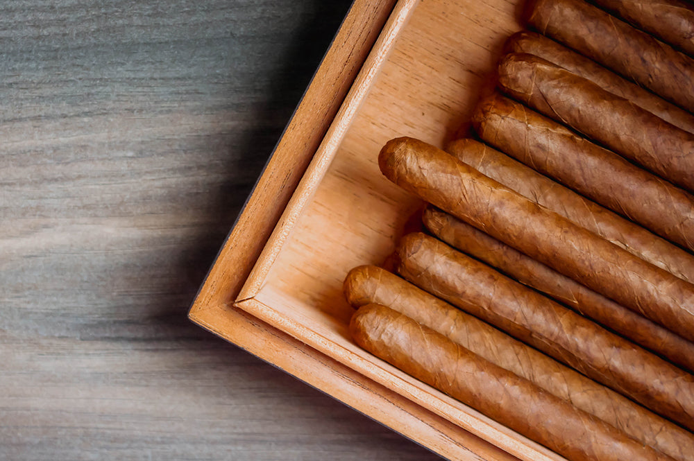 Essential Tips for Beginners Entering the World of Cigar Collecting
