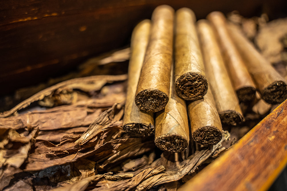Cigar Smoking Etiquette - 101 Guide