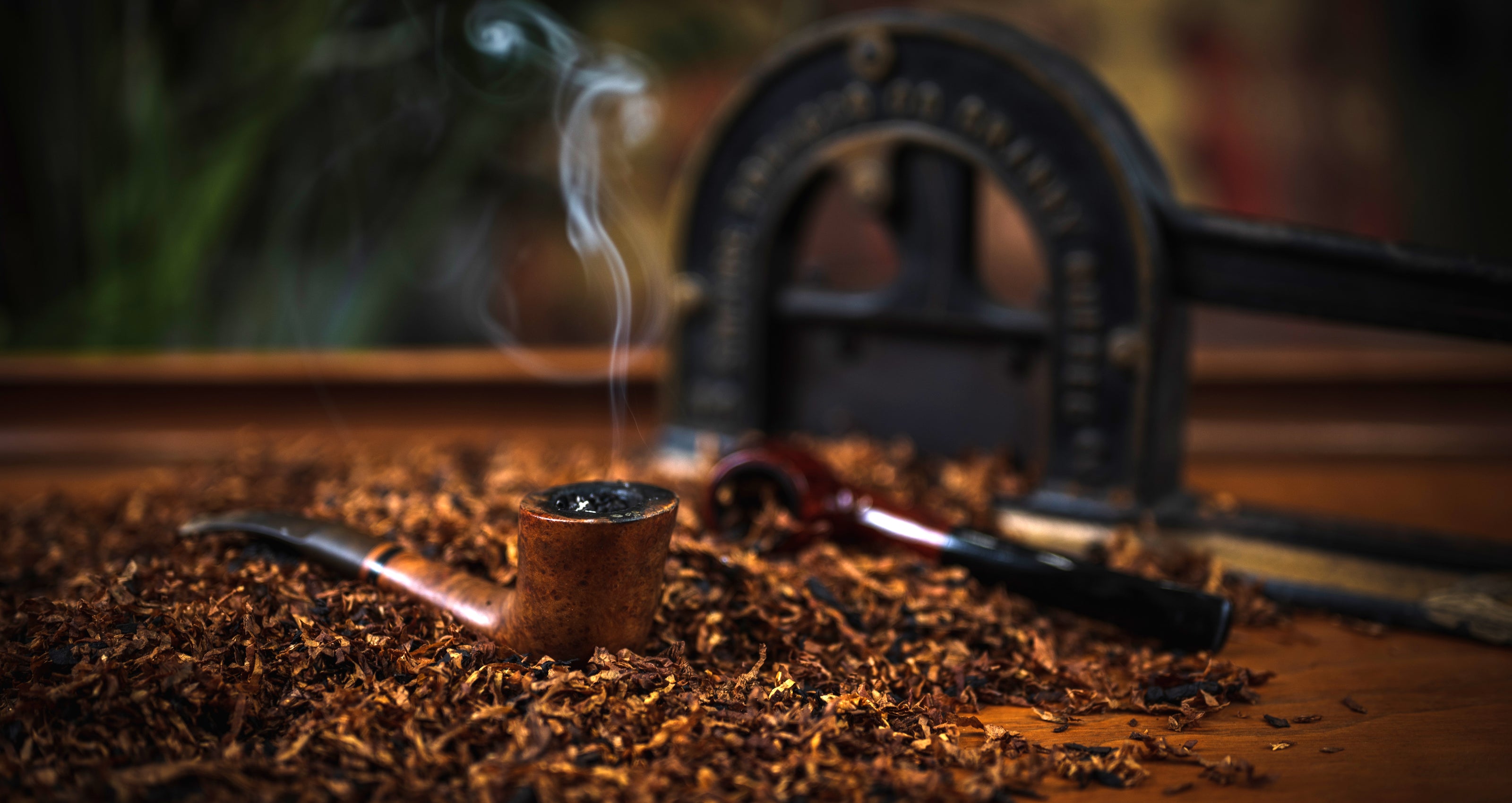Cigar Studio